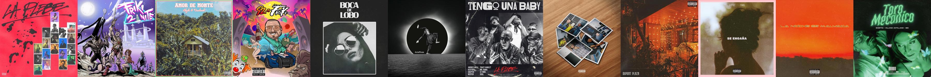 Skeptic Musica Store: Official Merch & Vinyl