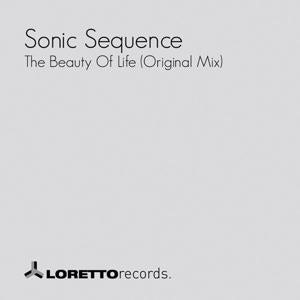 Sonic Sequence Store: Official Merch & Vinyl