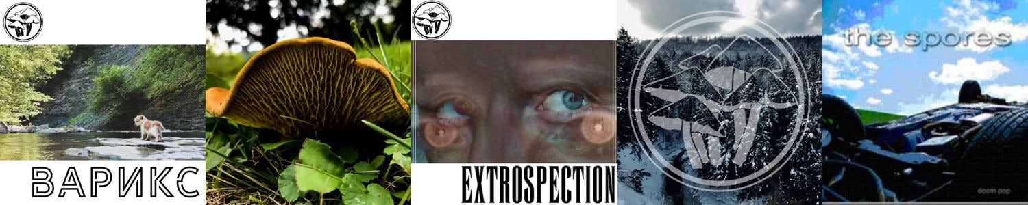 Spores Store: Official Merch & Vinyl