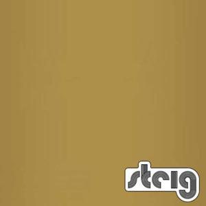 Steig Store: Official Merch & Vinyl