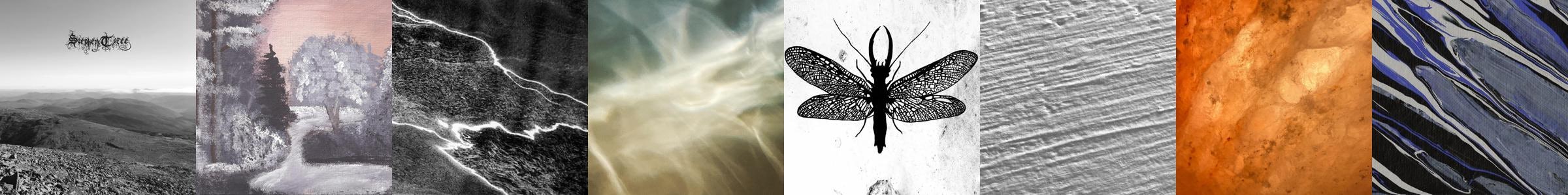 Stephen Tyree Store: Official Merch & Vinyl