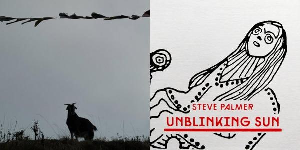 Steve Palmer Store: Official Merch & Vinyl