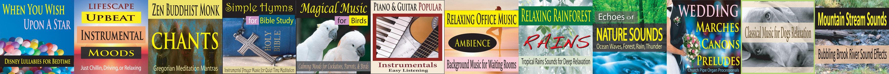 Steven Current Store: Official Merch & Vinyl