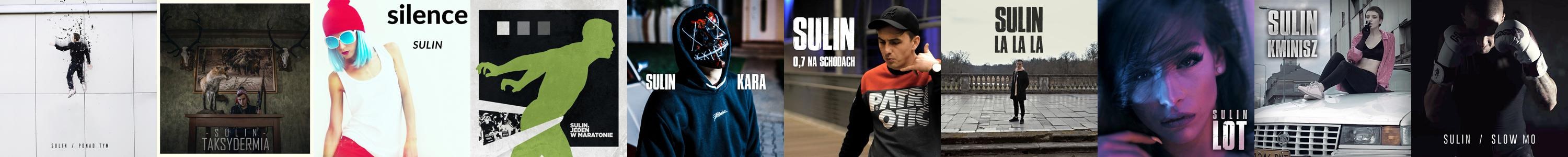 Sulin Store: Official Merch & Vinyl