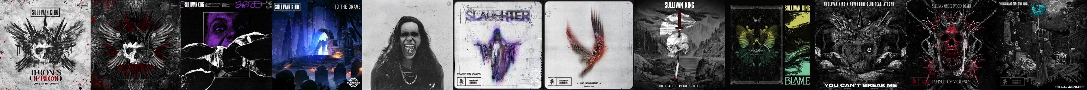 Sullivan King Store: Official Merch & Vinyl