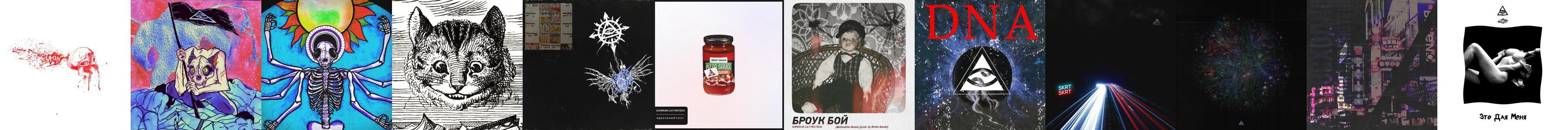 SUPERIOR.CAT.PROTEUS Store: Official Merch & Vinyl