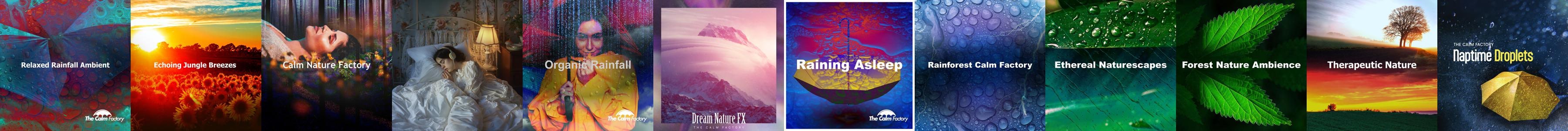 The Calm Factory Store: Official Merch & Vinyl