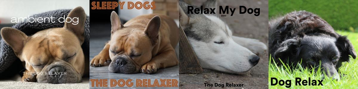 The Dog Relaxer Store: Official Merch & Vinyl