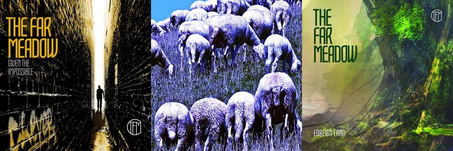 The Far Meadow Store: Official Merch & Vinyl