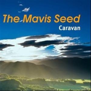 The Mavis Seed Store: Official Merch & Vinyl