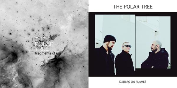 The Polar Tree Store: Official Merch & Vinyl