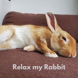 The Rabbit Relaxer Store: Official Merch & Vinyl
