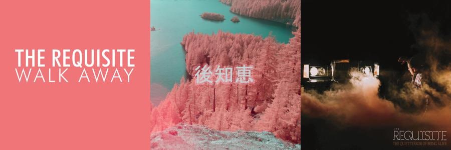 The Requisite Store: Official Merch & Vinyl