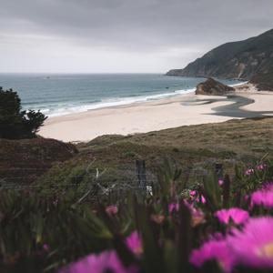 The Untrained Eye Store: Official Merch & Vinyl