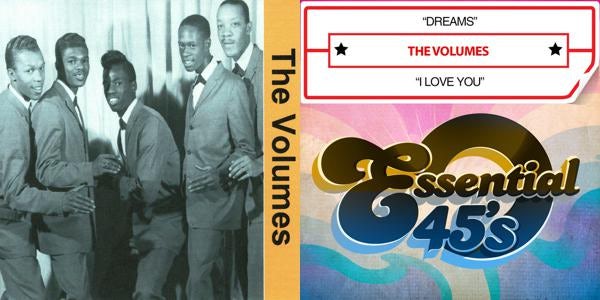 The Volumes Store: Official Merch & Vinyl