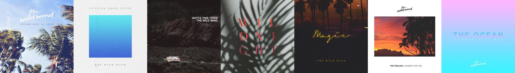 The Wild Wind Store: Official Merch & Vinyl