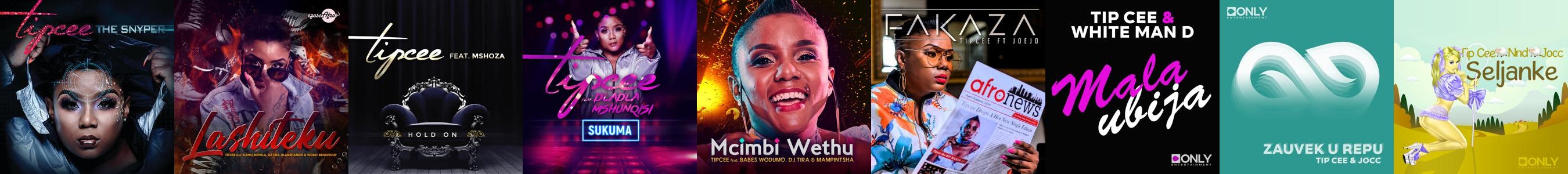 Tipcee Store: Official Merch & Vinyl