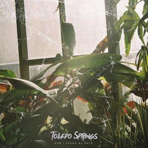 Toledo Springs Store: Official Merch & Vinyl