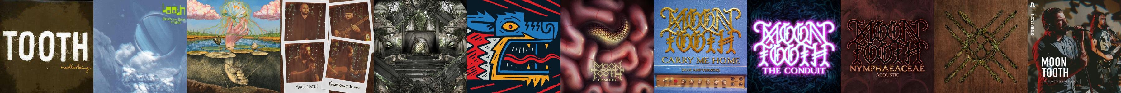 Tooth Store: Official Merch & Vinyl