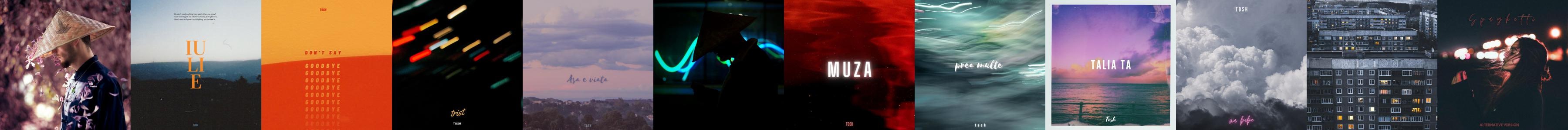 Tosh Store: Official Merch & Vinyl