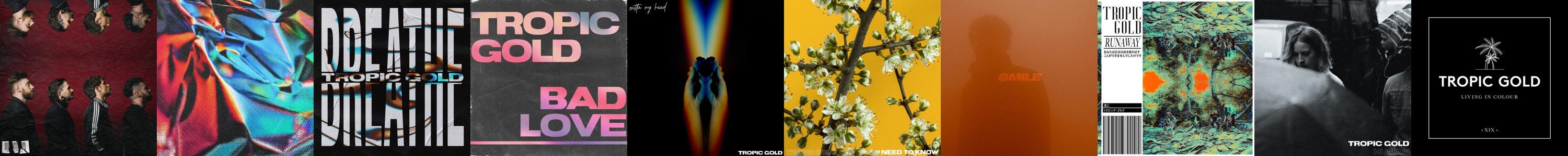 Tropic Gold Store: Official Merch & Vinyl