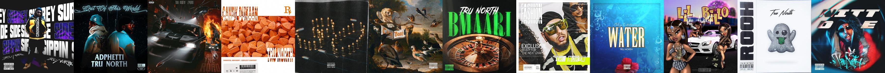 Tru North Store: Official Merch & Vinyl
