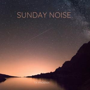 TX Phoenix Store: Official Merch & Vinyl