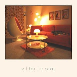 Vibrissae Store: Official Merch & Vinyl