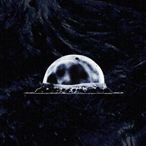 Vox Delitto Store: Official Merch & Vinyl