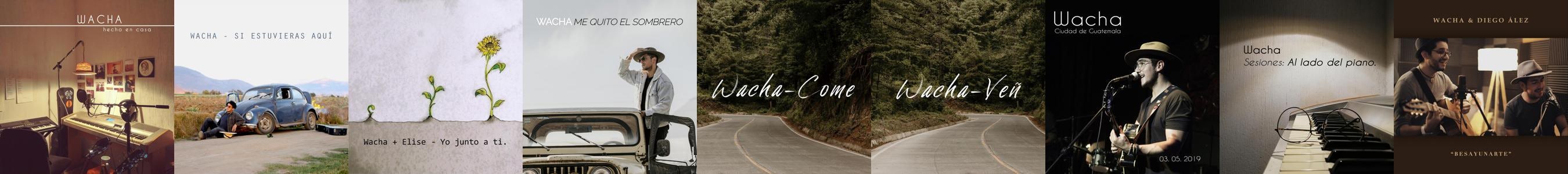 Wacha Store: Official Merch & Vinyl