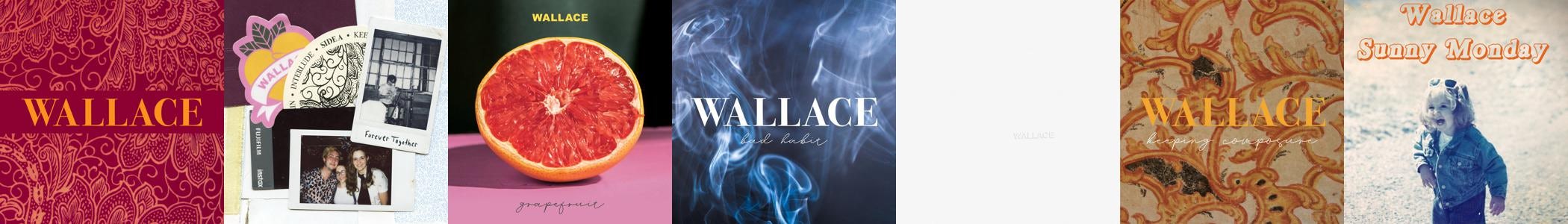Wallace Store: Official Merch & Vinyl