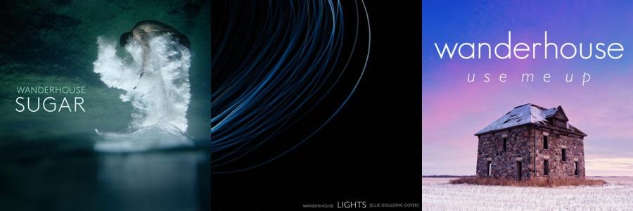 Wanderhouse Store: Official Merch & Vinyl