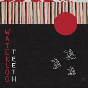 Waterloo Teeth Store: Official Merch & Vinyl