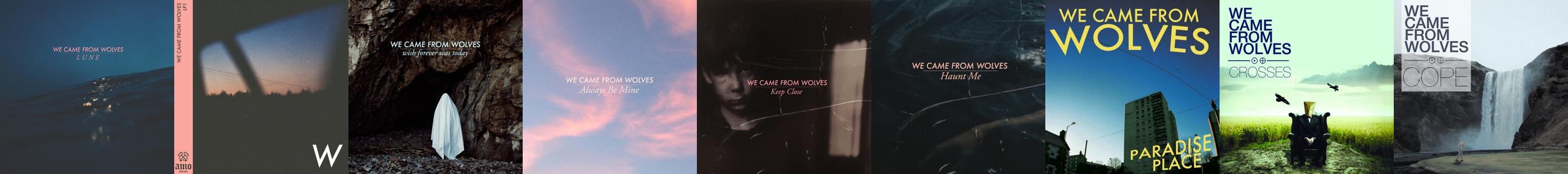 We Came From Wolves Shirts, We Came From Wolves Merch, We Came From Wolves Hoodies, We Came From ...