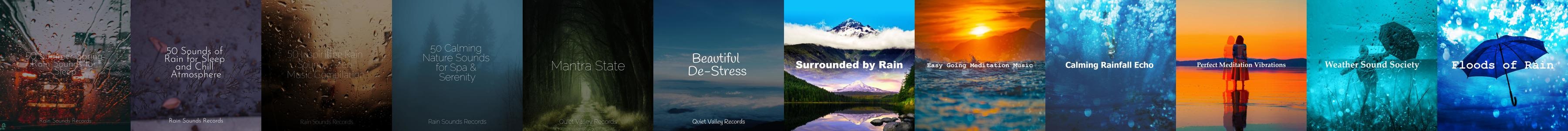 Weather Factory Store: Official Merch & Vinyl