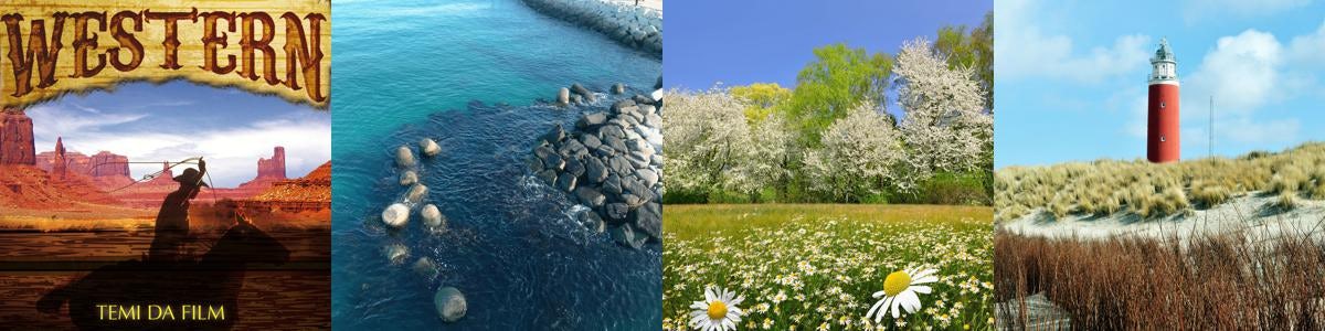 Western Tower Store: Official Merch & Vinyl