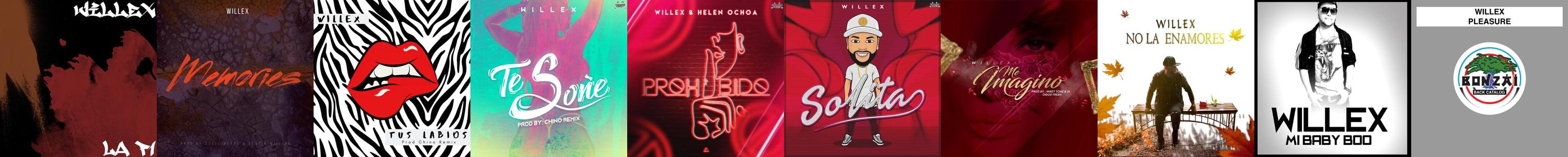 Willex Store: Official Merch & Vinyl