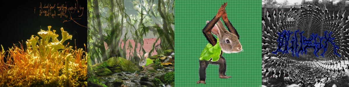 Willzyx Store: Official Merch & Vinyl