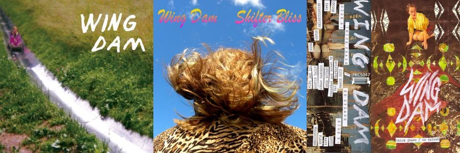 Wing Dam Store: Official Merch & Vinyl