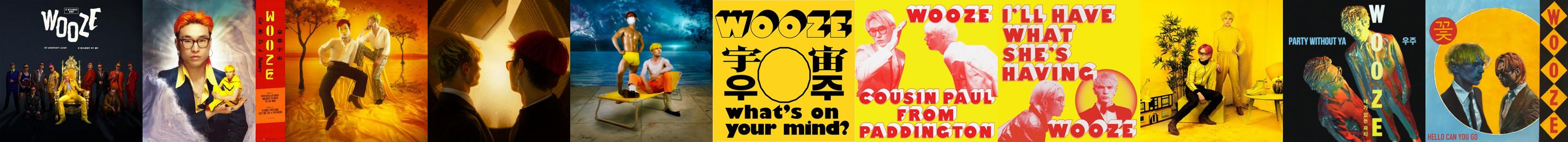 WOOZE Store: Official Merch & Vinyl