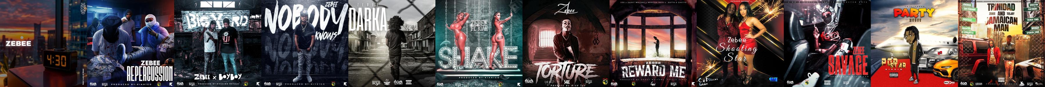 Zebee Store: Official Merch & Vinyl