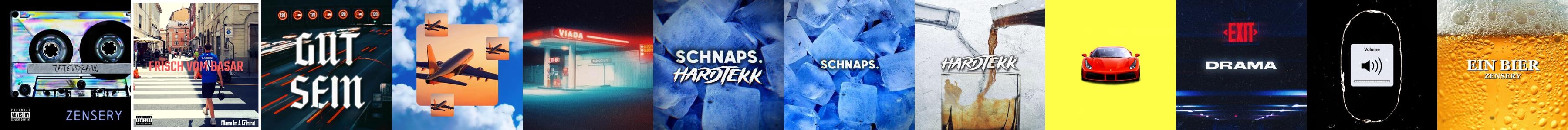 Zensery Store: Official Merch & Vinyl