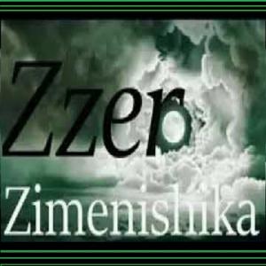 Zzero Store: Official Merch & Vinyl