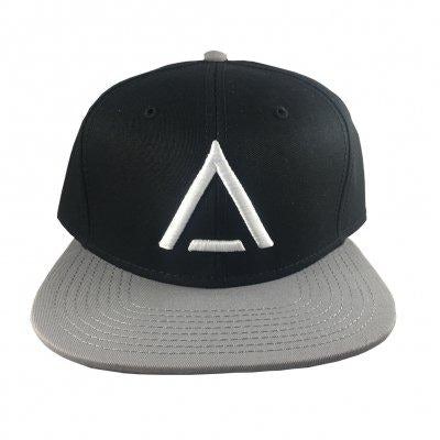 From Ashes to New Logo Snapback