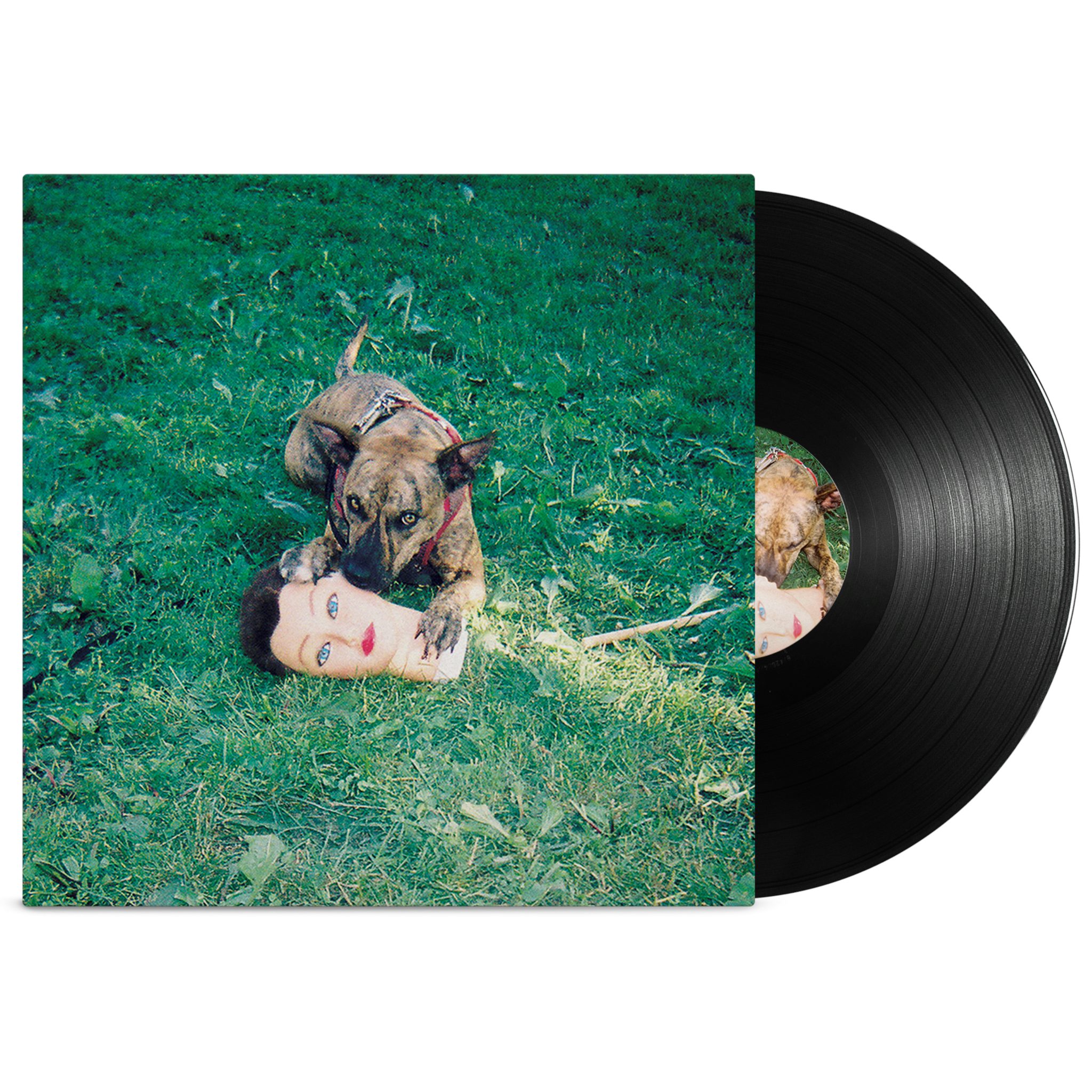 Joyce Manor Shirts, Joyce Manor Merch, Joyce Manor Hoodies, Joyce Manor ...