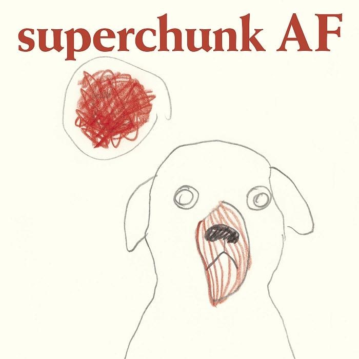 Superchunk 'Acoustic Foolish' Vinyl LP Vinyl Record