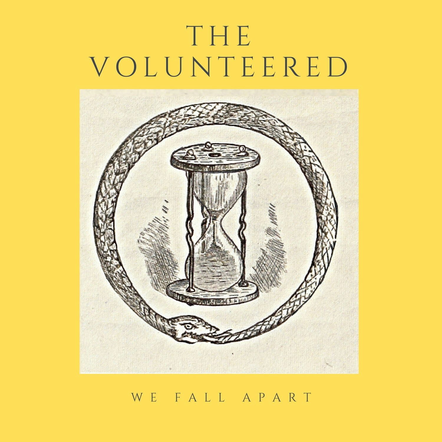 The Volunteered 'We Fall Apart' Vinyl LP Vinyl Record