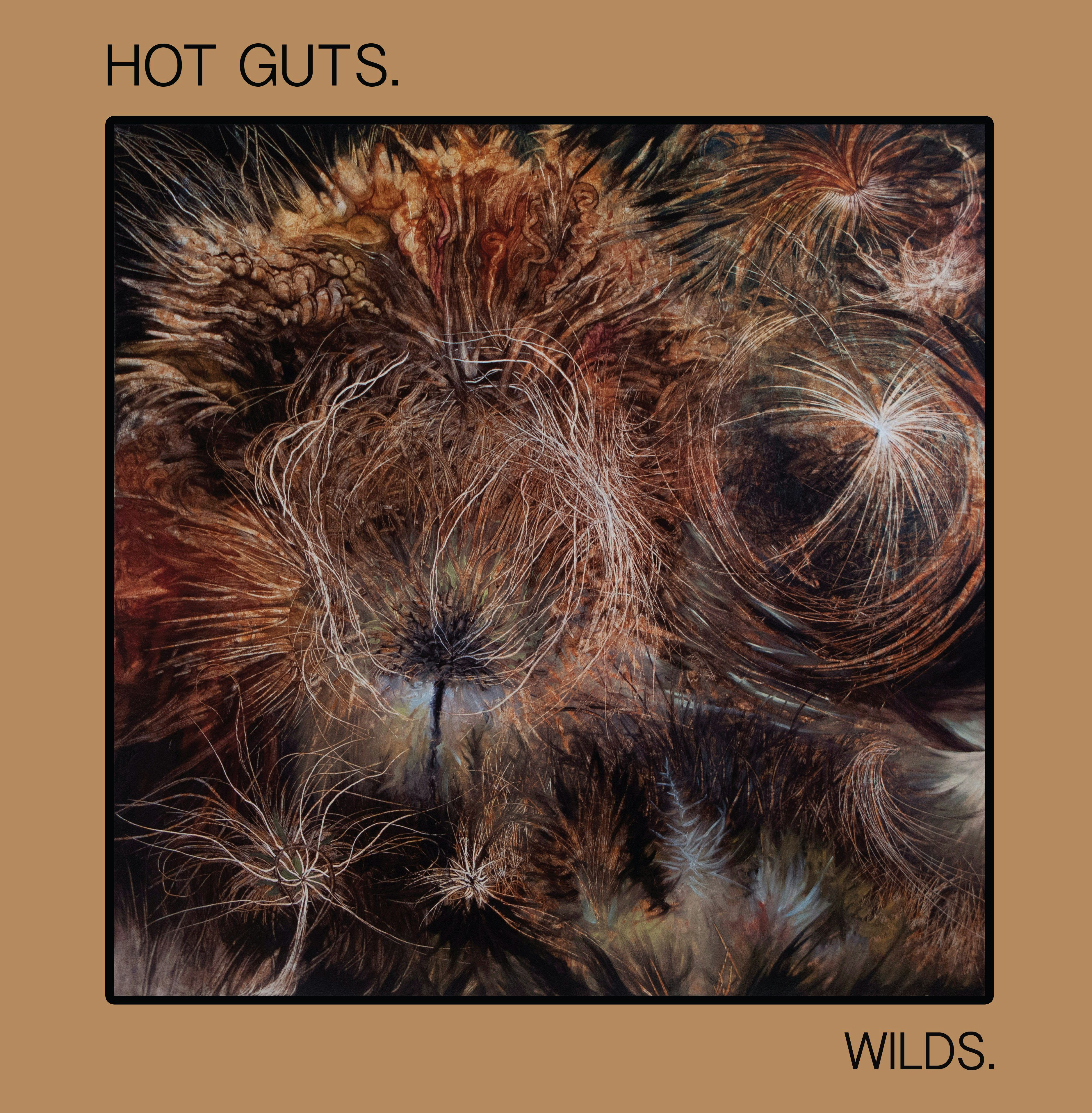 Hot Guts 'Wilds' Vinyl Record