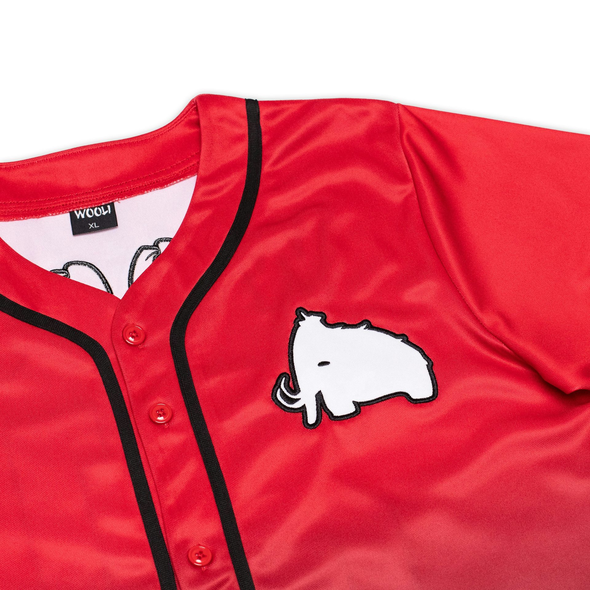 Wooli Destination Tour Jersey