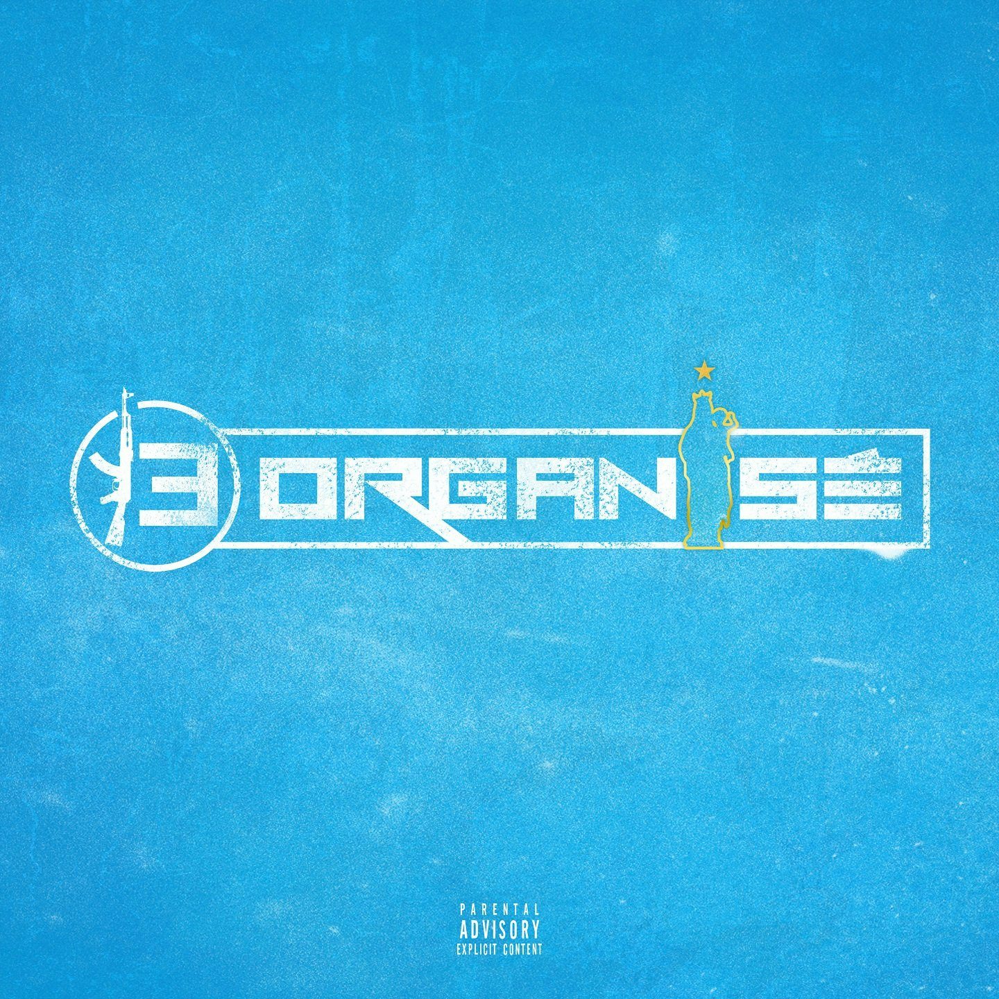 13 Organisé / 13 Organisé - CD